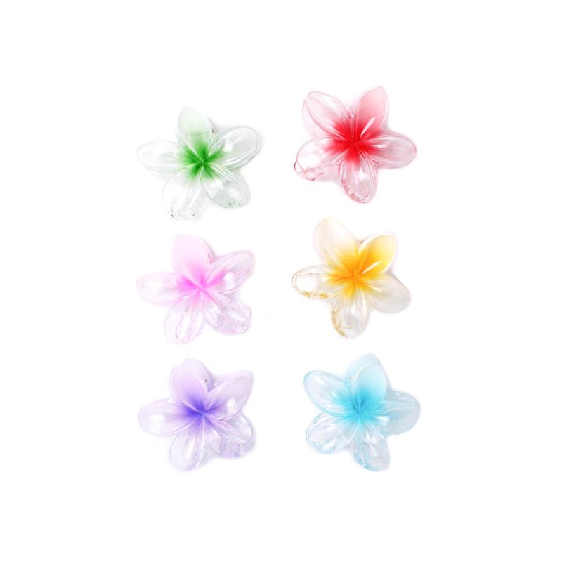 Coloured transparent hibiscus flower clamp 8cm - Inca